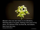 The Proverbs Project